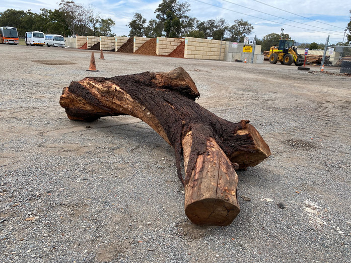 Gallery | Perth Nature Play
