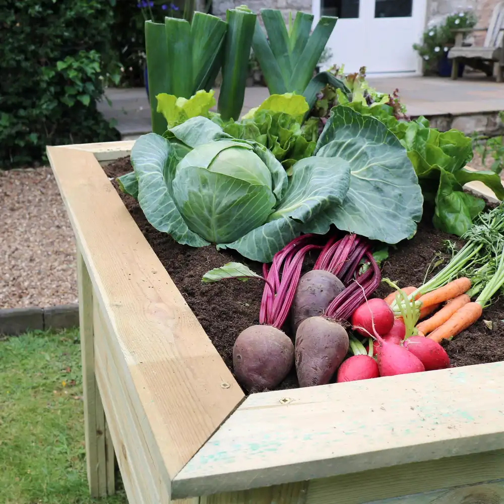 Deep Planter - 1m | D-O-L