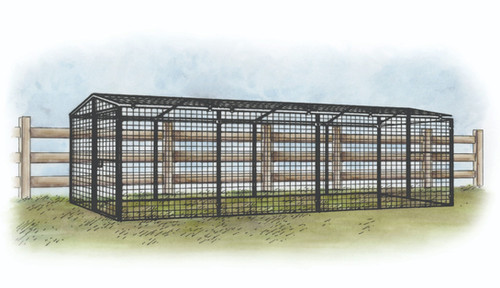 Regular 16 ft. Chicken Run | Chase Hatchery