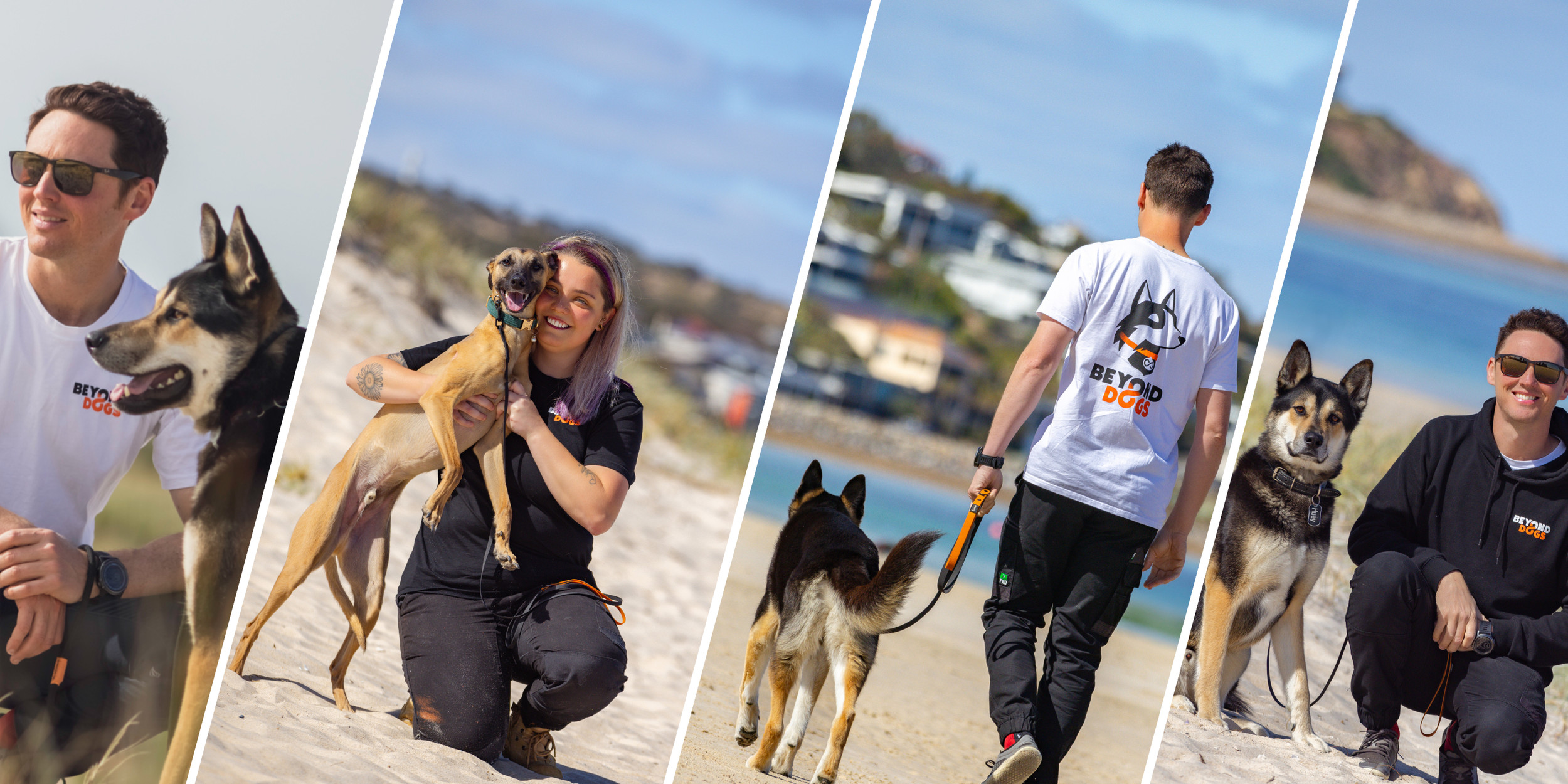 Contact | Beyond Dogs