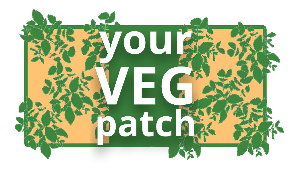 Your Veg Patch | Grow Your Own Veg