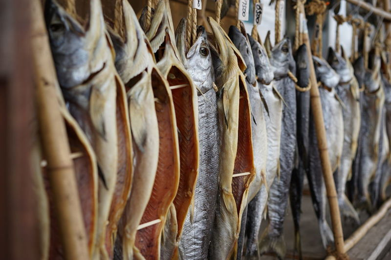 Building a Successful Commercial Fishing Company