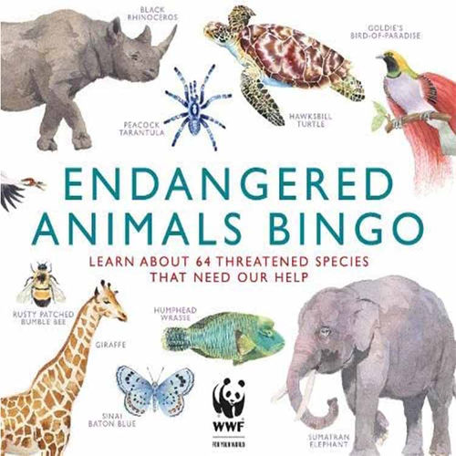 Endangered Animals Bingo | The Barefoot Kids | MT