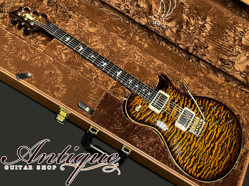 Paul Reed Smith (PRS) Private Stock Brazilian #6049 Singlecut Trem | 2016