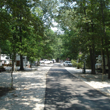 Photos | Shellbay Camping Resort