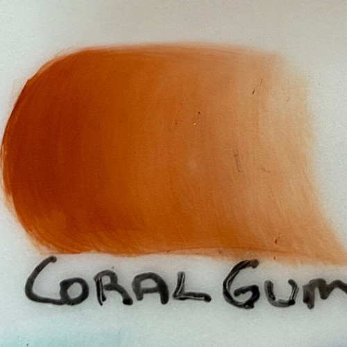Coral Gum | Gracelain