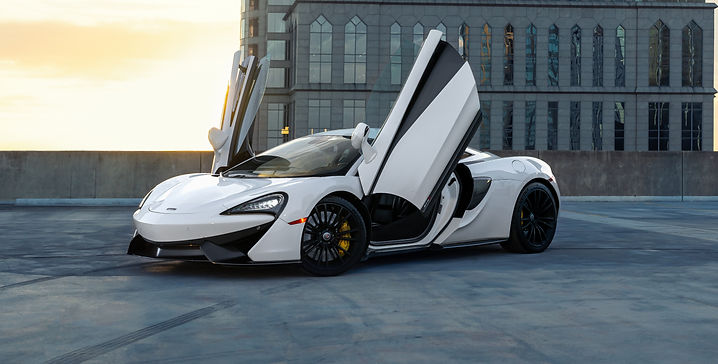 About Us | Elite Exotics Tampa