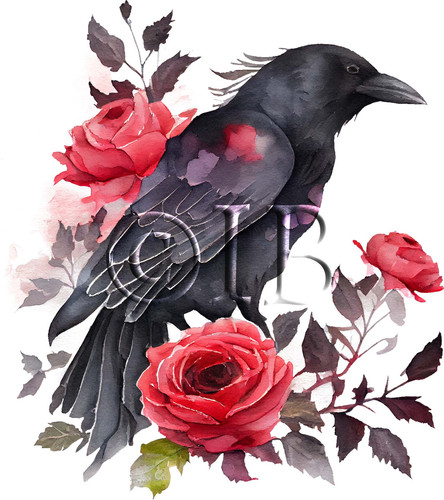 Raven 360 | InkBound UK