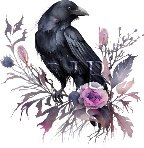 Raven 354 | InkBound UK