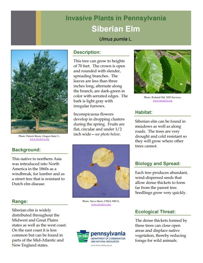 Early Detection of Invasive Species in the Lake Erie Watershed