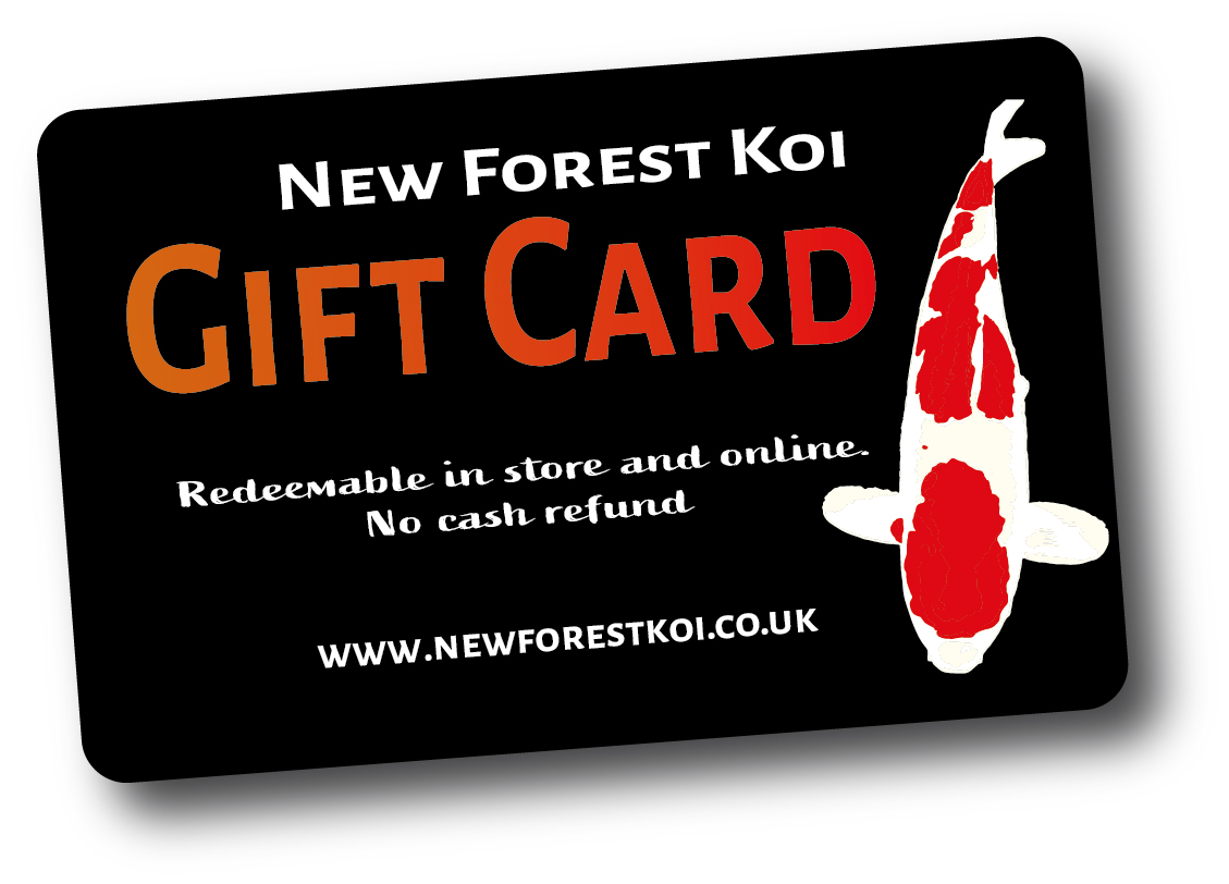 Home | New Forest Koi