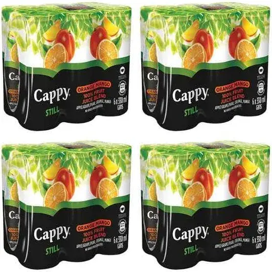CAPPY FRUIT JUICE ORANGE MANGO 330ML CAN X 24 | Booze Town