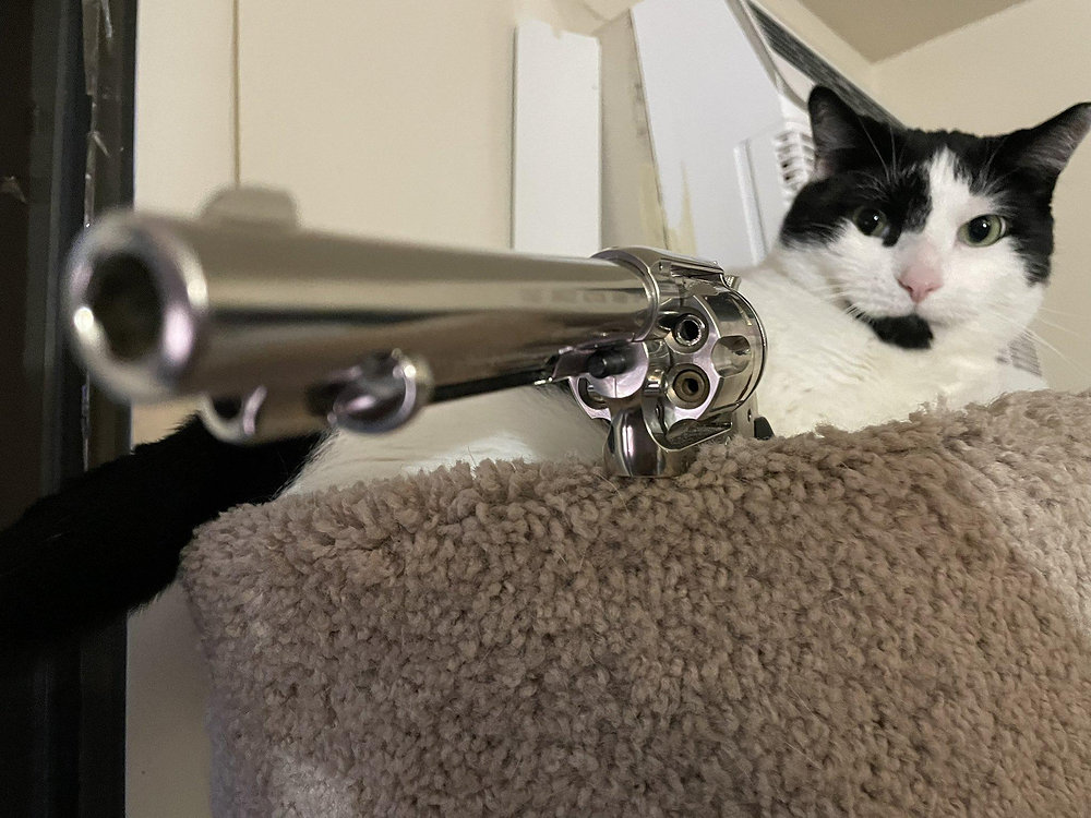 O que é balística forense?