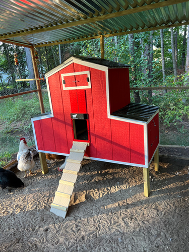 The Little Red Chicken Coop Plans | B. Home Designs