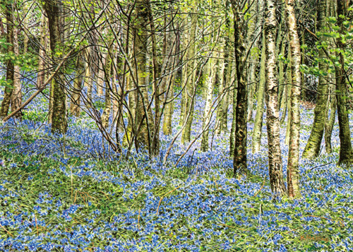 Old Orchard Wood | UKfineart