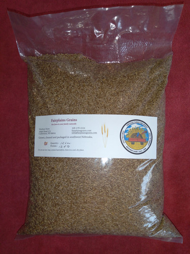 12 Lbs. Organic Heirloom Variety Turkey Red~~Hard Red Winter Wheat ...