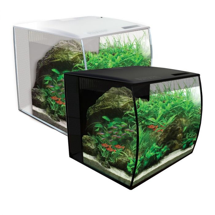 The Best Starter-Aquarium Bundles