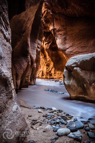 Mesmerized | Kelly Tate Photo