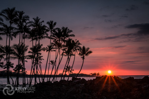 Arrive | Kelly Tate Photo