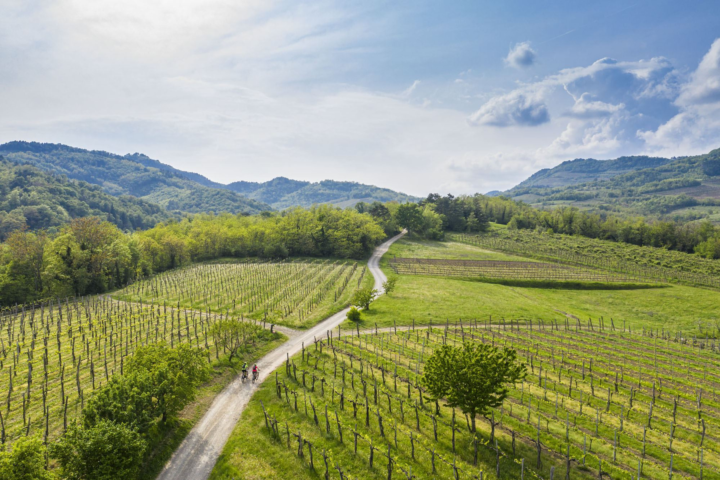 Vipavska dolina | Barbara Adventure