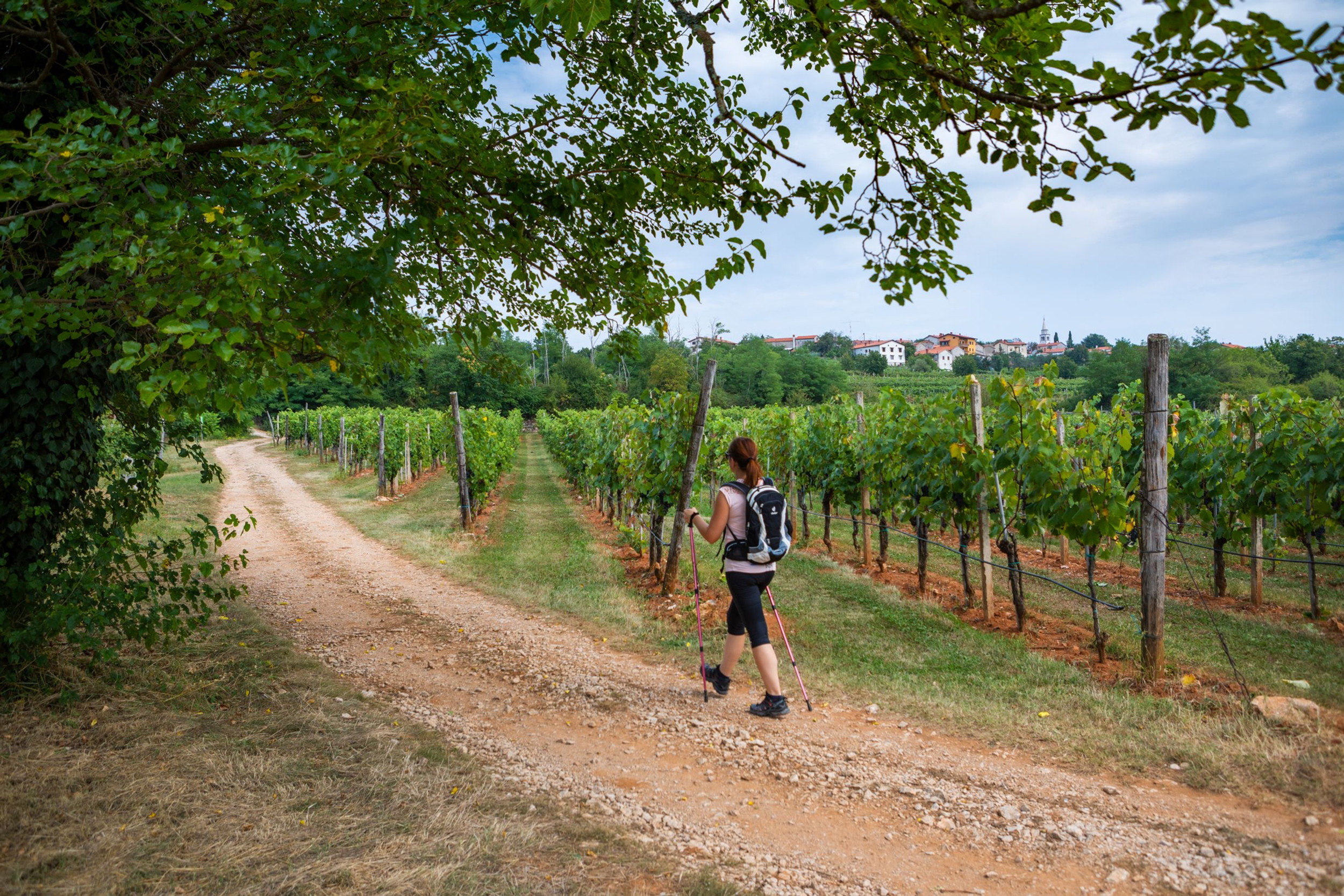 Kras | Barbara Adventure