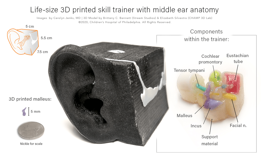 Training Surgical Residents with a 3D Printed Ear