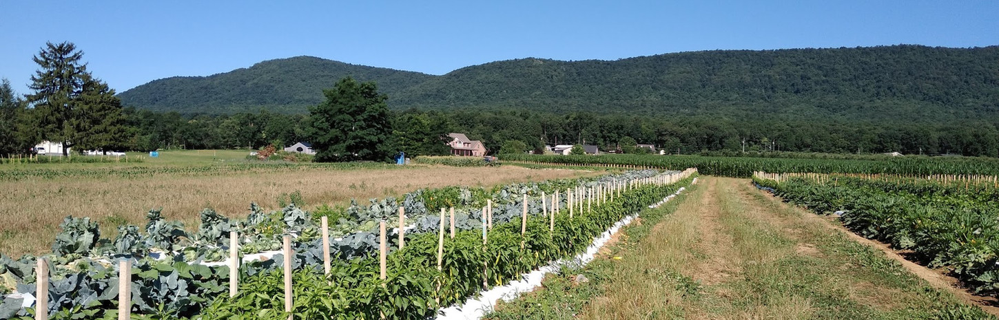 About Us | Andrews Farm Market