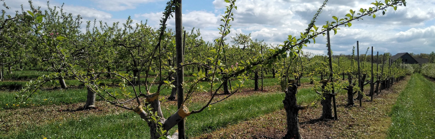 About Us | Andrews Farm Market