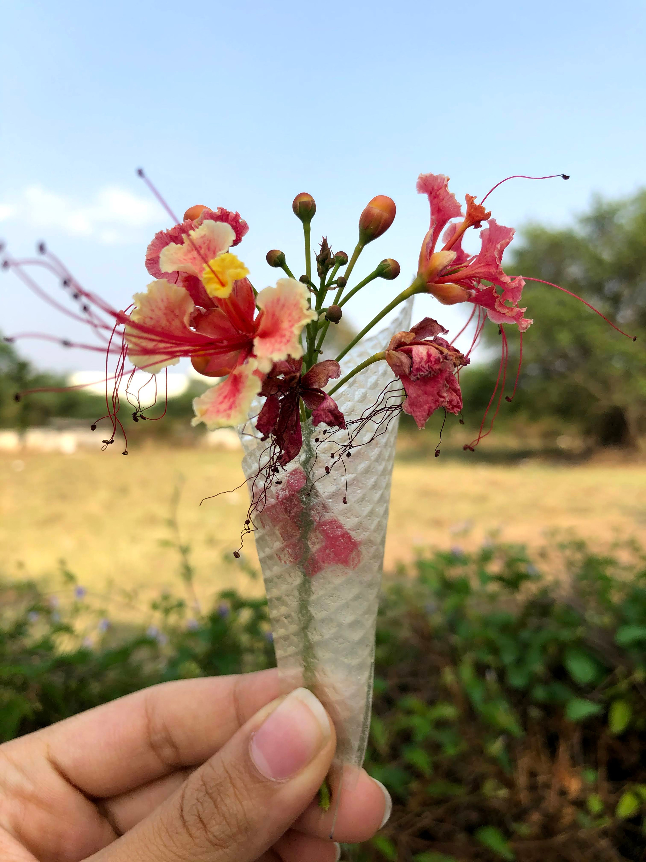 Eco Friendly Packaging | Go Do Good