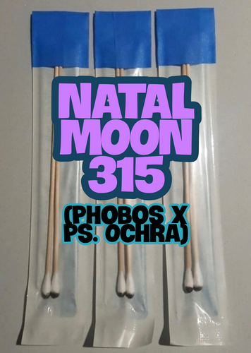 Natal Moon 315 - Mushroom Spore Swab Set x1 - For Microscopy Only🔬 | Oz ...