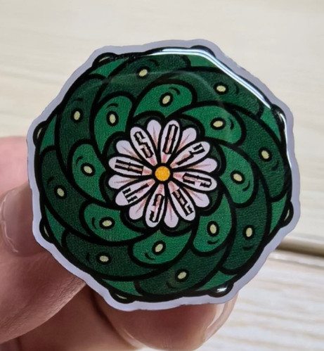 Oz Cactus 'Hypno Peyote' Metal Lapel Pin | Oz Cactus Garden