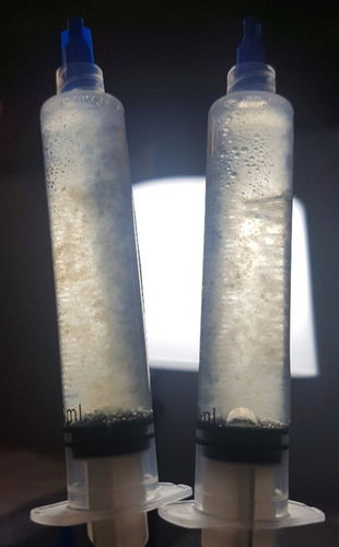 Gourmet Edible Liquid Cultures 10cc | Oz Cactus Garden