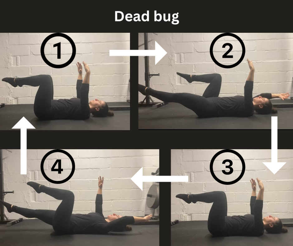 The Dead Bug Exercise: How To + Variations