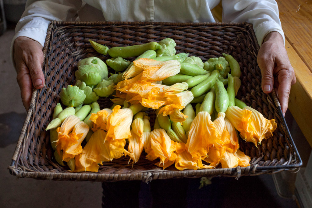 Go Off-Grid with Us at Animal Farm | Pullman Market