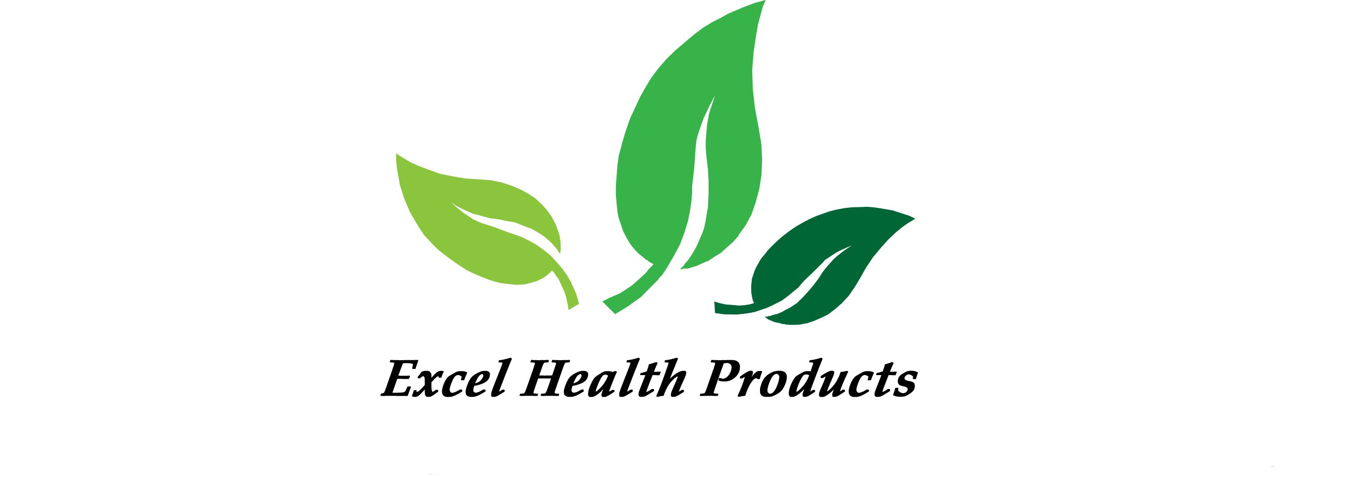 Excel Logo Jpg