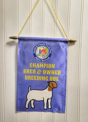 Full Color Award Banner | CVC Mobile