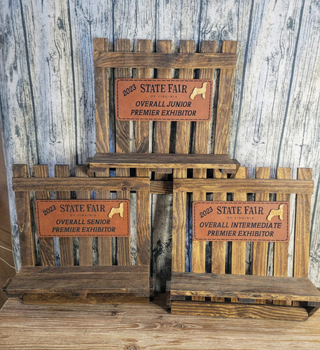 Fence Shelf Buckle Display with Faux Leather Patch | CVC Mobile App