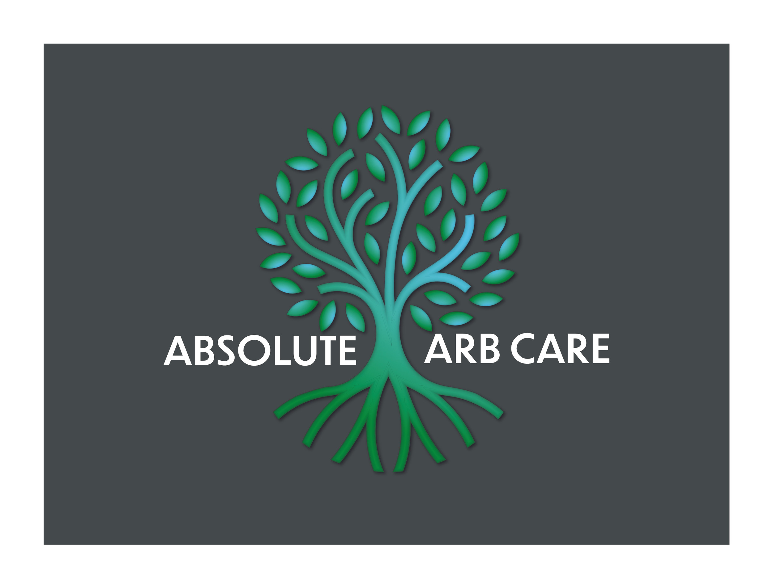 Tree Surgery In County Durham | Absolute Arb Care