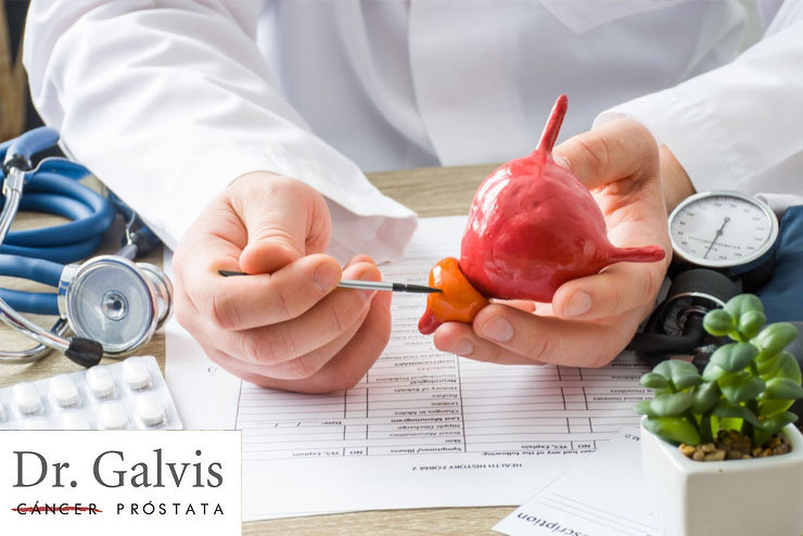 Qué es la próstata: Funciones, problemas y cuidados