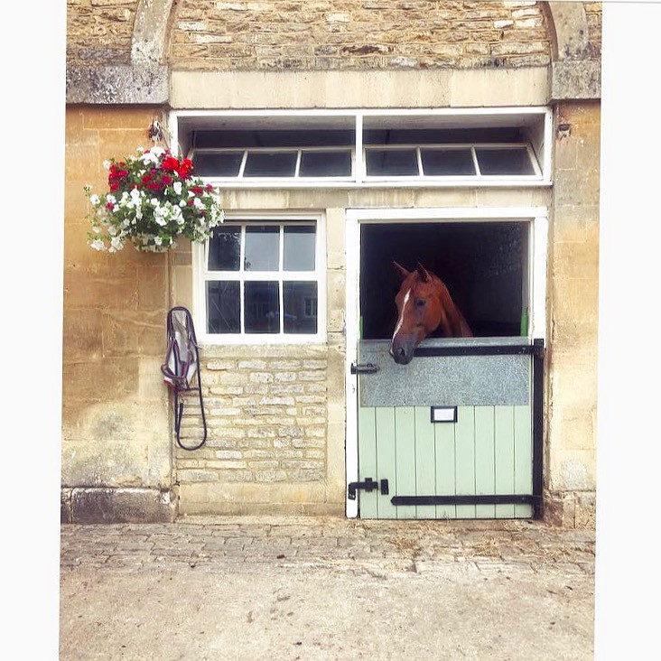 Livery Yard in Malmesbury Wiltshire | Charlton Park Stables | Home