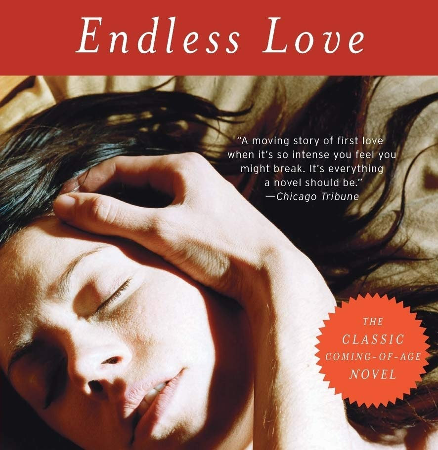 Endless Love Book Review | Brown Variety Hour