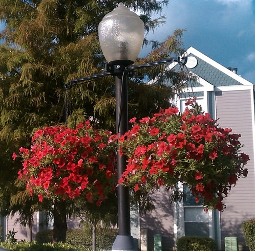 Two-Arm Bracket for Small Lampposts | WindowGardensDirect