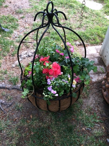 Decorative Wrought Iron Hanging Basket with Coco Liner ...