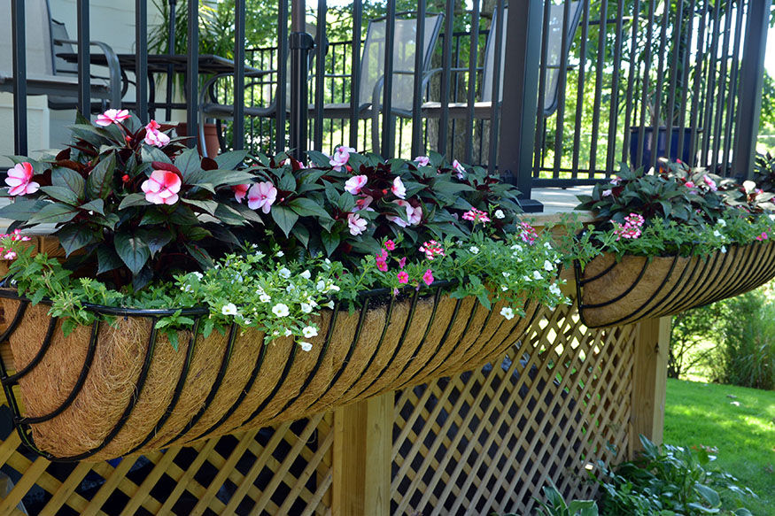 Wrought Iron Window Boxes | United States | Window Gardens Direct