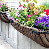 Wrought Iron Window Boxes | United States | Window Gardens Direct