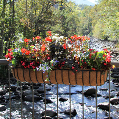 Wrought Iron Window Boxes | United States | Window Gardens Direct