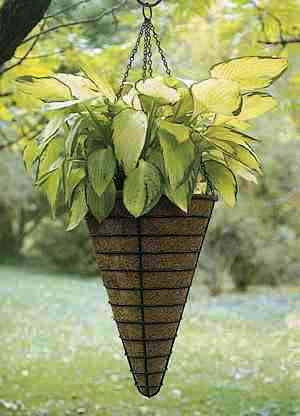 Cone Hanging Basket with Coco Liner | WindowGardensDirect