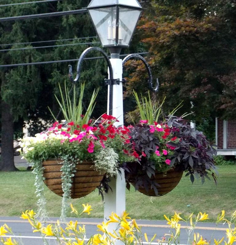 Wrought Iron Hanging Baskets | United States | Window Gardens Direct