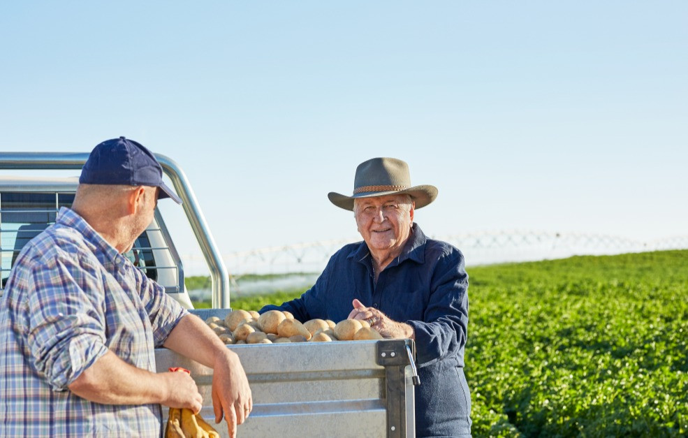 Virginia Farm Produce