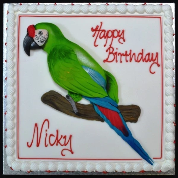 Custom Military Macaw Parrot Cake – Bespoke Birthday Celebration Cake ...